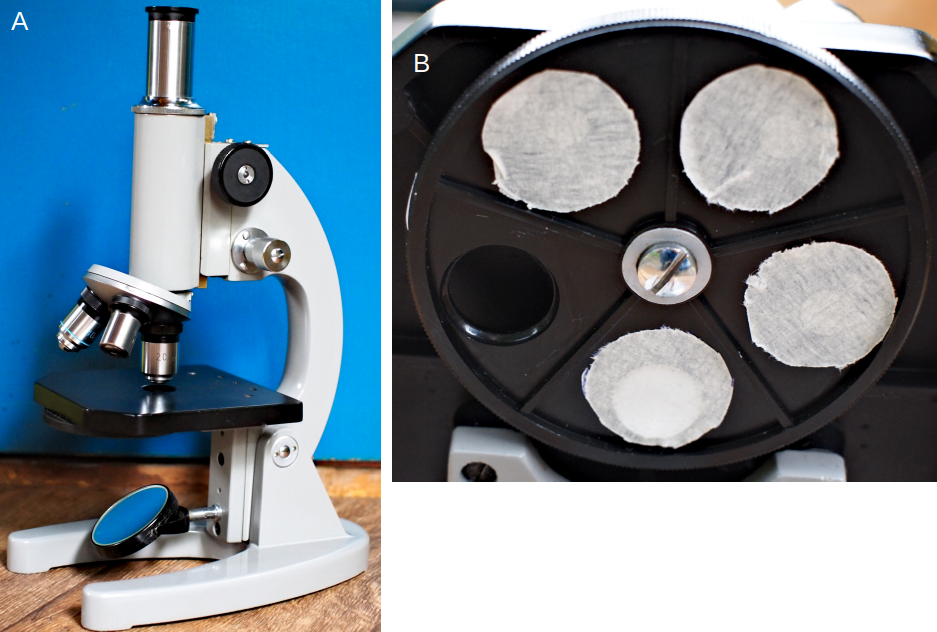 Wat je kunt zien met een eenvoudige microscoop | Microscopie van de Natuur